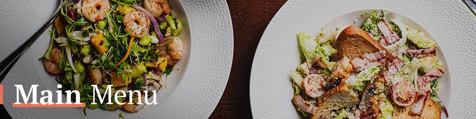 Pub Food Menus in London at The Bridge House